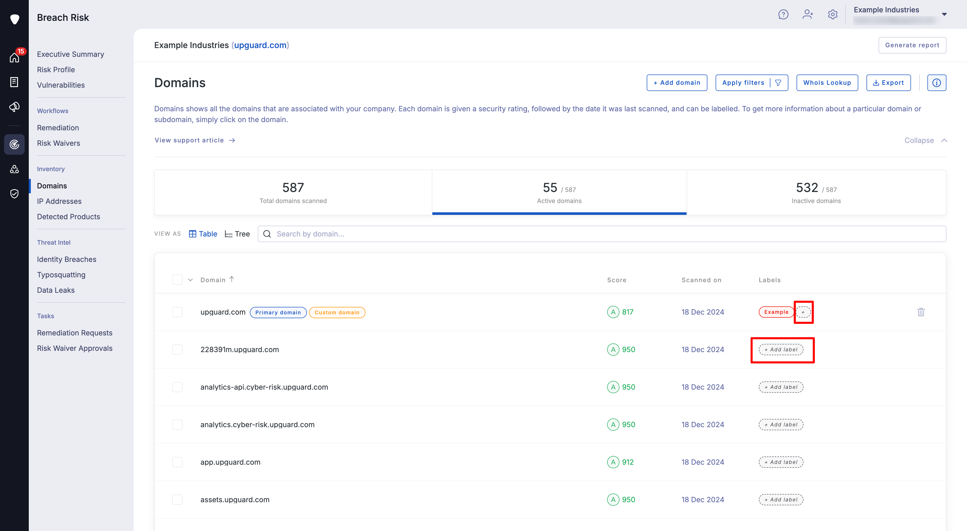 How to label your domains